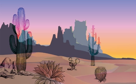 DBSI Celebrates 25 Years of Leadership in Retail Transformation with ...